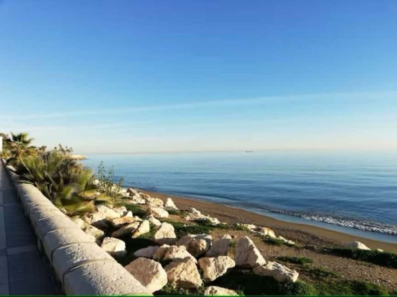 Guided tour of Malaga fishing scene with cooking workshop - An Authentic Dive into Malaga’s Seafood Heritage