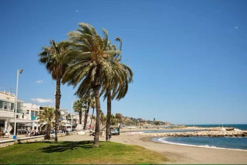 Guided tour of Malaga fishing scene with cooking workshop - FAQ