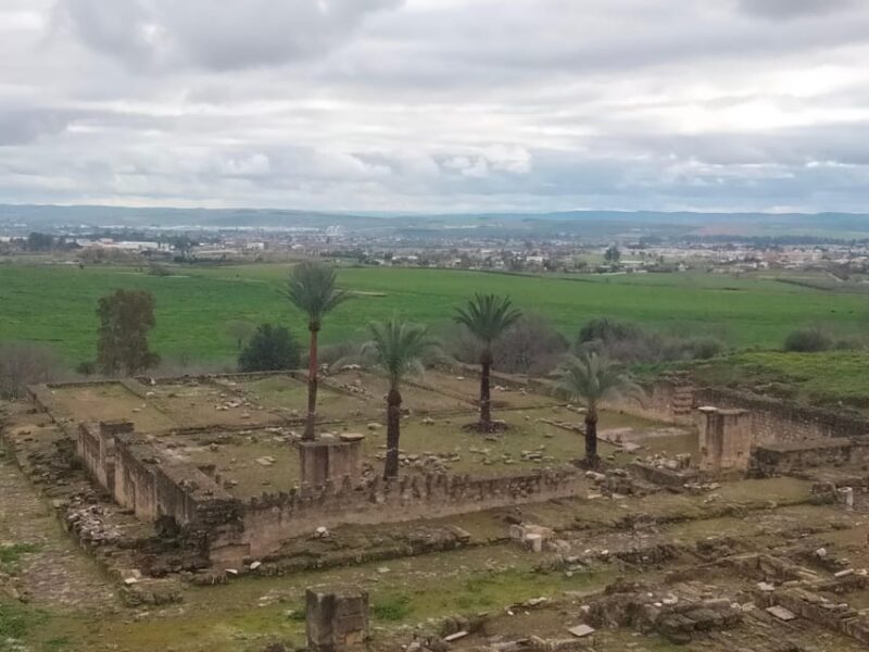 Guided tour of Medina Azahara only in french - What’s Included and What’s Not