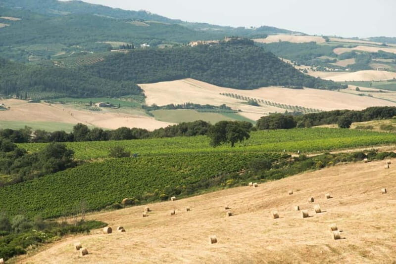 Guided tour of our Brunello vineyards with tasting. - Price and Value Considerations