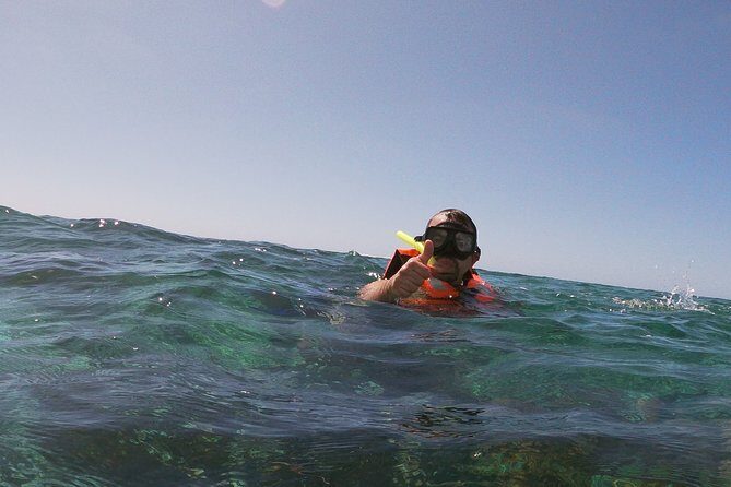 Guided Tour of Puerto Morelos Reefs with Snorkeling Experience - An In-Depth Look at the Puerto Morelos Snorkeling Tour