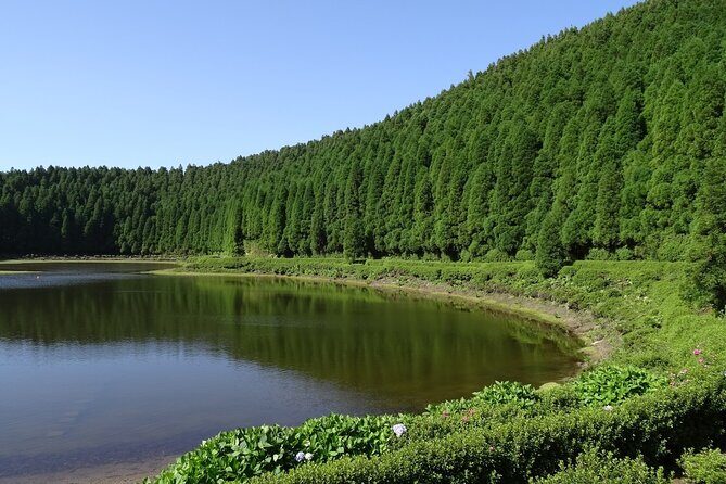 Guided tour of Sete Cidades & Lagoa do Fogo, lunch included - Why This Tour Stands Out