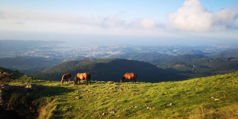 Guided tour of the 5 most beautiful towns in Basque Country - The Sum Up: Is It Worth It?