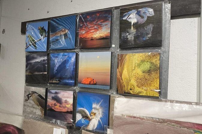 Guided tour of the art galleries of the Historic Center - Practical Tips and Considerations