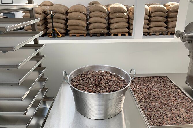 Guided tour of the Artisan Chocolate Factory in Tuscany - Key Points
