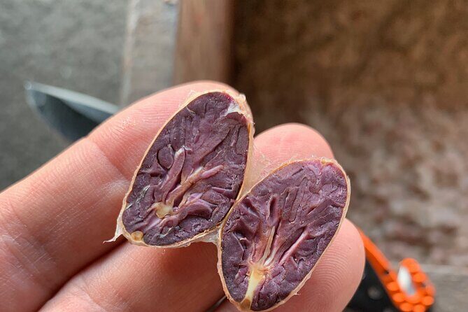 Guided tour of the Artisan Chocolate Factory in Tuscany - Unpacking the Tour in Detail
