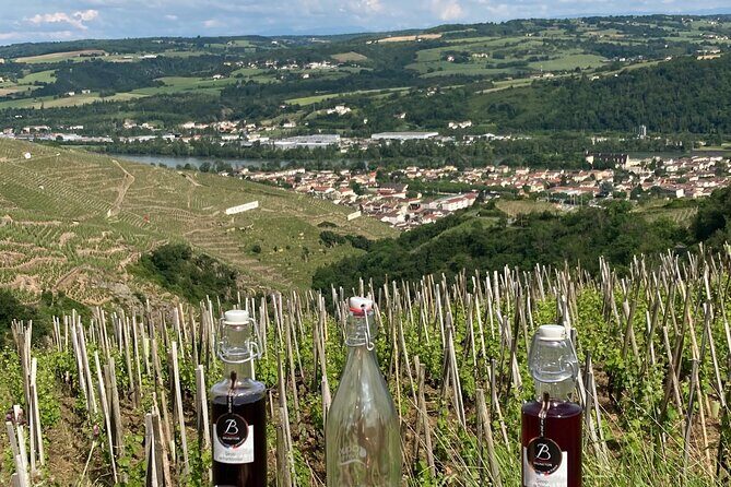 Guided Tour of the Coteaux Côte Rôtie for Parents and Children Duos - Key Points