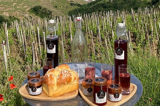 Guided Tour of the Coteaux Côte Rôtie for Parents and Children Duos - Who Should Consider This Tour?