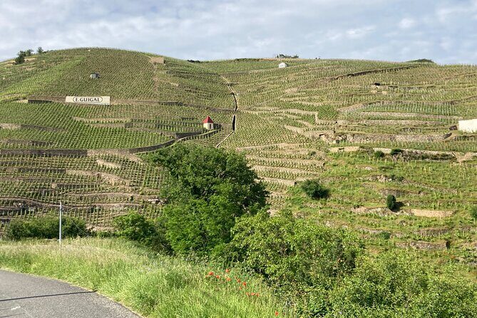 Guided Tour of the Coteaux Côte Rôtie for Parents and Children Duos - FAQ