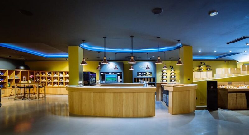 Guided Tour of the Estate & Tasting of 4 wines - The Art of Wine Tasting