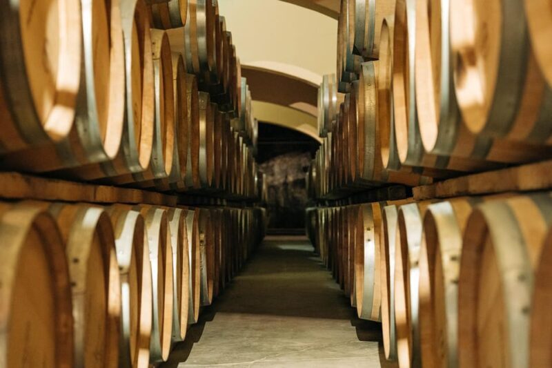 Guided Tour of the Estate & Tasting of 4 wines - Behind the Scenes: Cellar and Winemaking