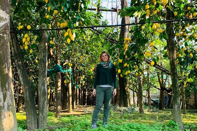Guided tour of the history and tradition of the Sorrento lemon - Key Points