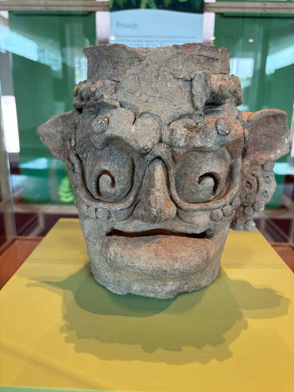 Guided Tour of the Museum of Anthropology - Key Points