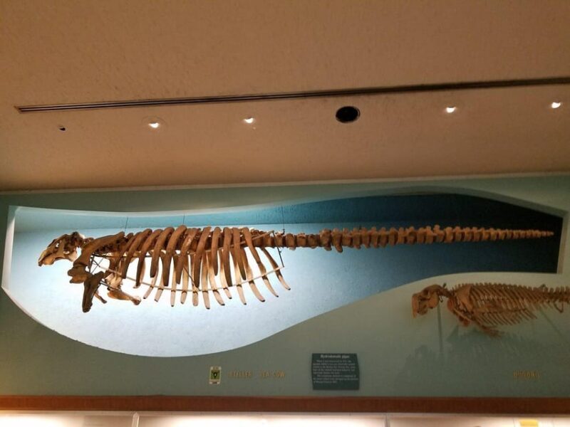Guided Tour of The Natural History Museum - Why Choose This Tour?