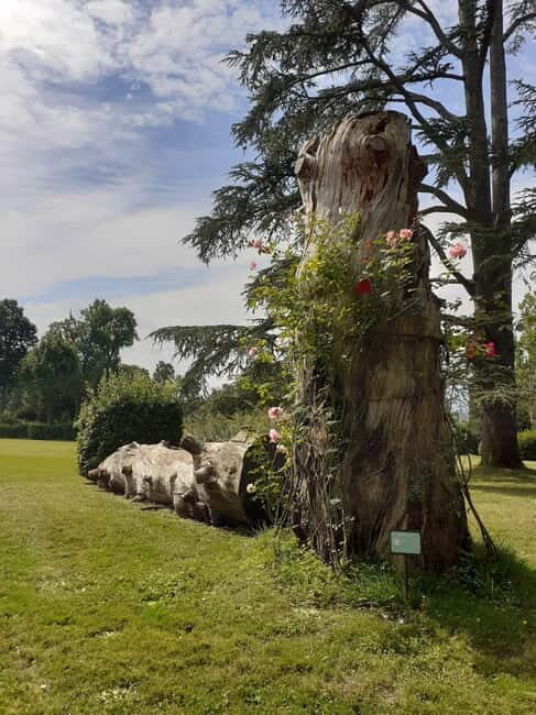 Guided tour of the park of Villa Reale di Marlia - An inviting introduction to Villa Reale di Marlias outdoor treasures