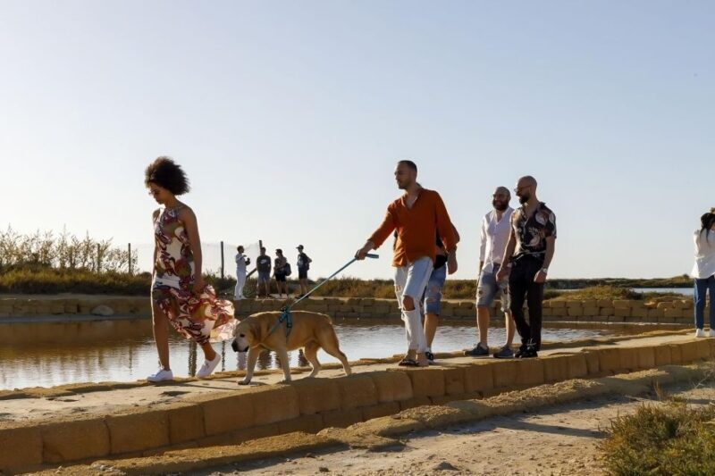 Guided tour of the Trapani Salt Pans and Salt Museum - Tasting and Additional Options