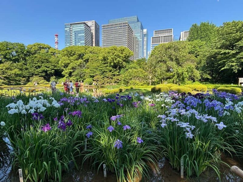 Guided tour of Tokyo: Ginza, Imperial Palace Gardens, and Odaiba - Key Points