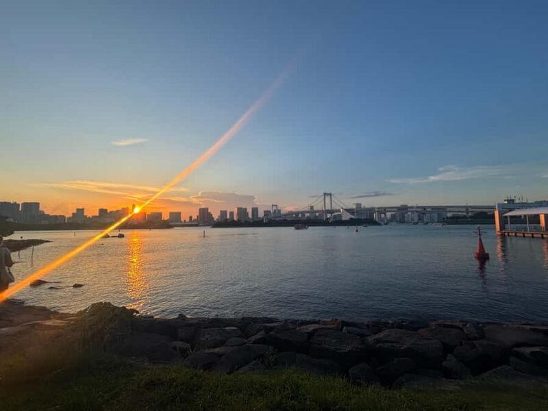 Guided tour of Tokyo: Ginza, Imperial Palace Gardens, and Odaiba - Authenticity and Experience