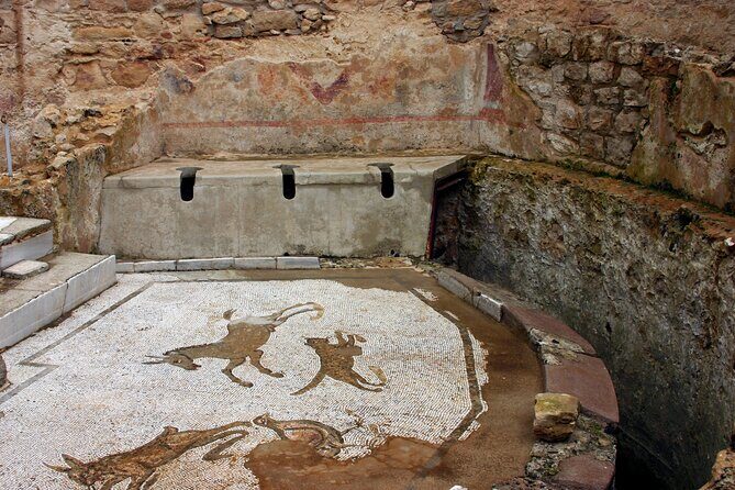 Guided tour of Villa Romana del Casale with skip the line - Exploring the Villa Romana del Casale: A Detailed Dive