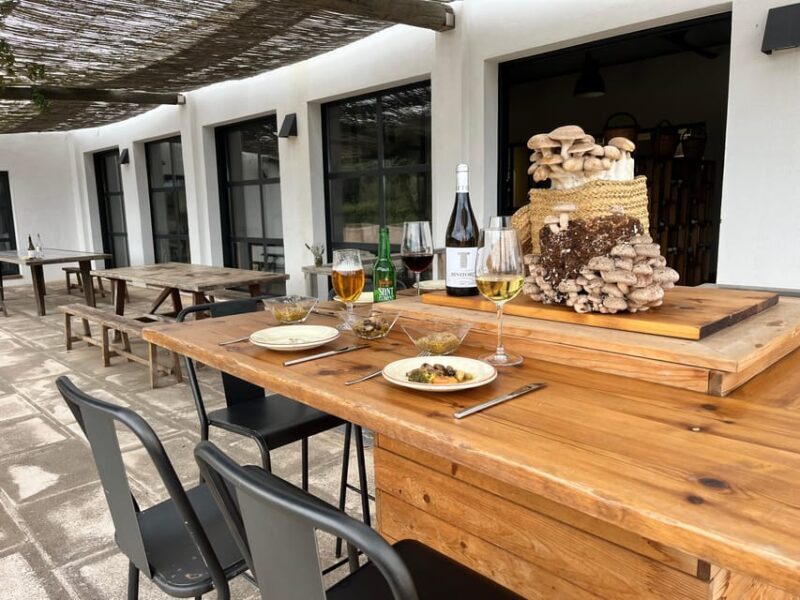 GUIDED TOUR + TASTE IN A MUSHROOM FARM - Who This Tour Is Perfect For