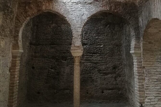 Guided tour The Nasrid Life - Analyzing the Experience and Its Value
