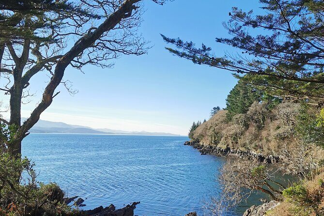 Guided Tour The Ring of Kerry, Skellig Ring and Valencia Island - Introduction