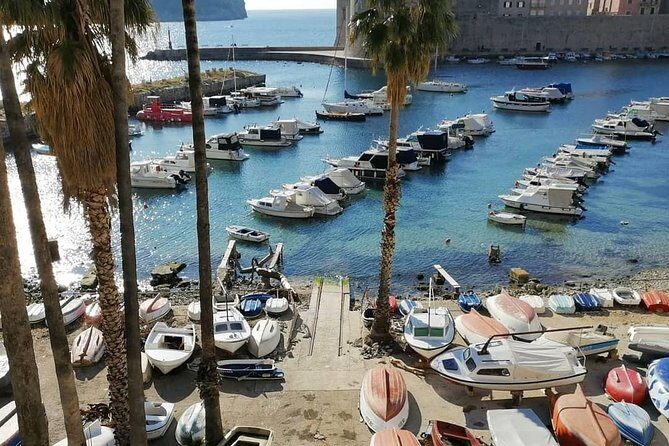 Guided Tour to discover Dubrovnik's Old Town, by day or night - Who Should Consider This Tour?