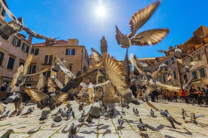 Guided Tour to discover Dubrovnik's Old Town, by day or night - Frequently Asked Questions
