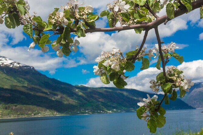 Guided tour to Hardanger Fjord, Waterfalls and Ferry Crossing - Who Should Take This Tour?