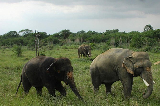Guided Tour To Tajmahal & Wildlife SOS with Transports From Delhi - An In-Depth Look at the Tour Experience