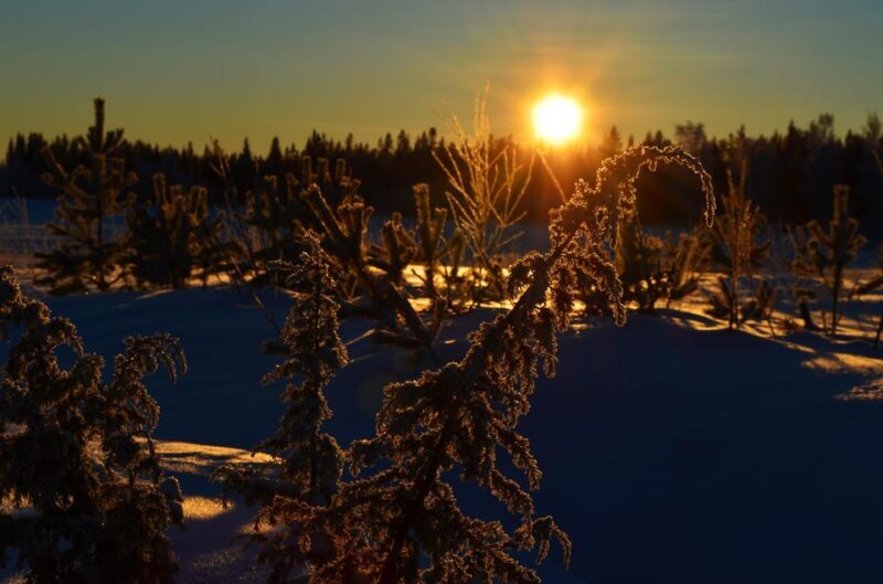 Guided Tour to the Ajtte Mountain and Sámi museum - The Sum Up