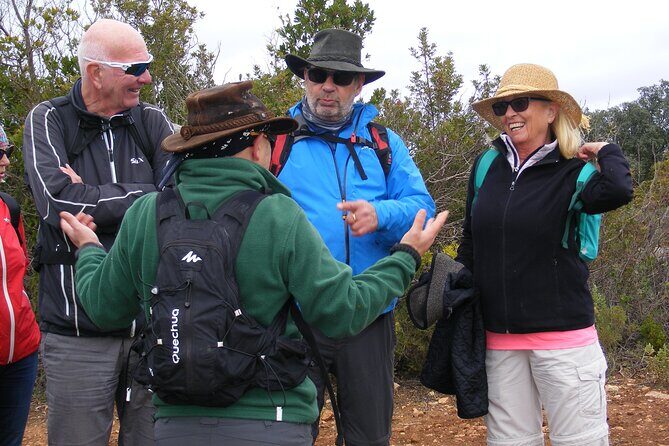 Guided Tour to the Geological Monument of Rocha da Pena - Key Points