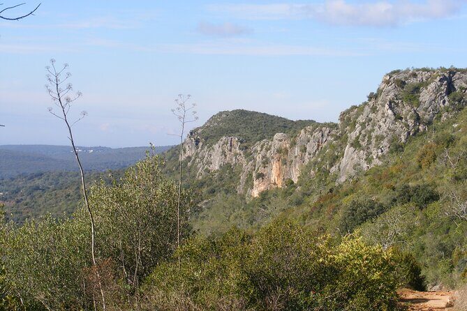 Guided Tour to the Geological Monument of Rocha da Pena - Who Should Consider This Tour?