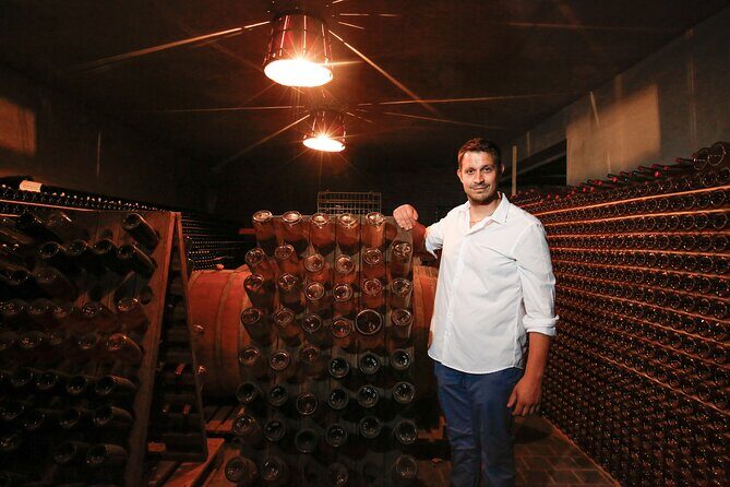 Guided tour with wine tasting - The Tasting: Understanding and Appreciating Wine