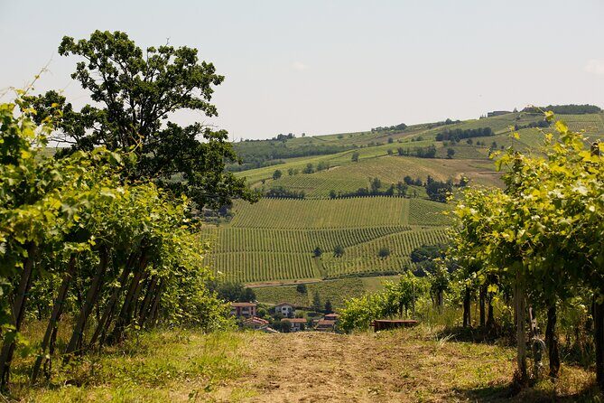 Guided tour with wine tasting - Who Will Love This Tour?