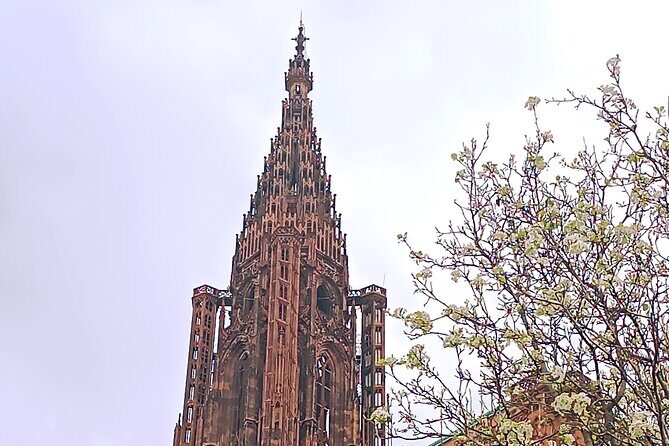 Guided Tours of Strasbourg Cathedral - Authentic Insights from Travelers