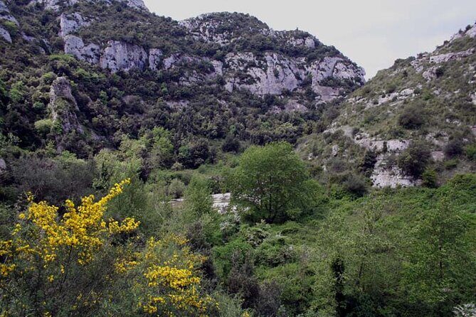 Guided Trekking to Cavagrande del Cassibile in Sicily - What Previous Travelers Say