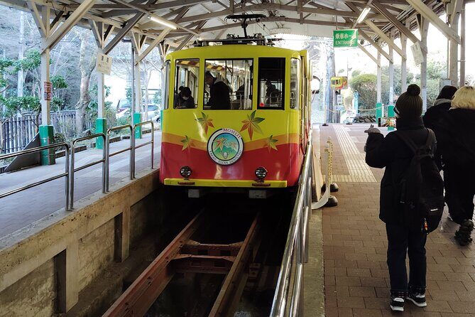 Guided Trip to Mount Takao Train Journey from Shinjuku - The Experience for Different Travelers
