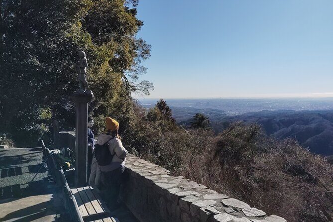 Guided Trip to Mount Takao Train Journey from Shinjuku - The Sum Up