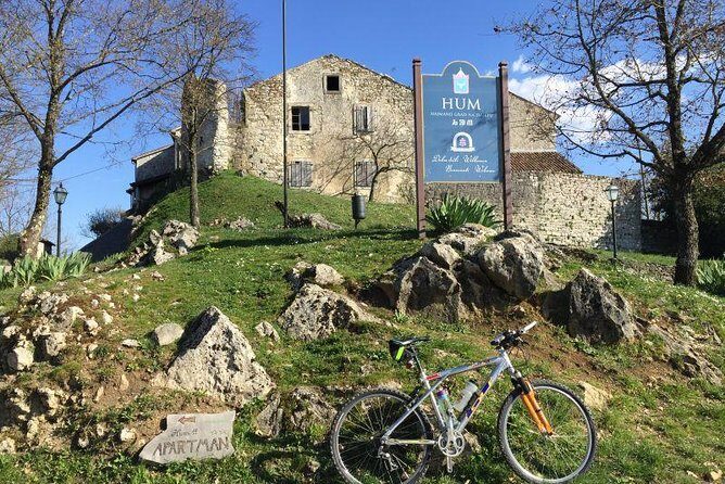 Guided Truffle Hunt Istria - An In-Depth Look at the Tour Experience