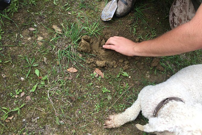 Guided Truffle Hunt Istria - Final Thoughts