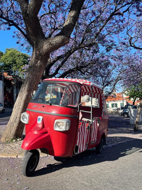 Guided tuk tuk tour in Lisbon's old neighborhoods - Why choose a tuk tuk tour in Lisbon?