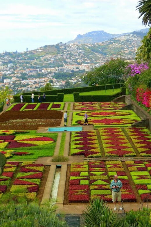 Guided Tuk-Tuk Tour to Botanical Garden (From Funchal) - Key Points