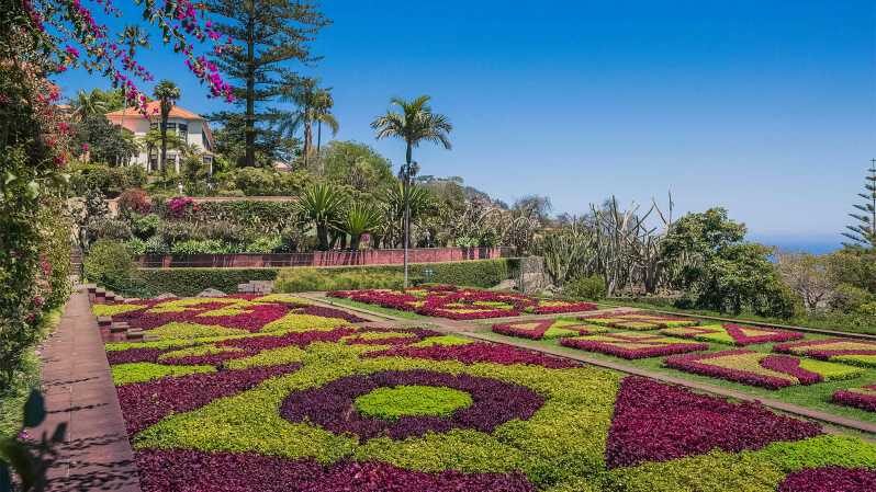 Guided Tuk-Tuk Tour to Botanical Garden (From Funchal) - An In-Depth Look at the Experience