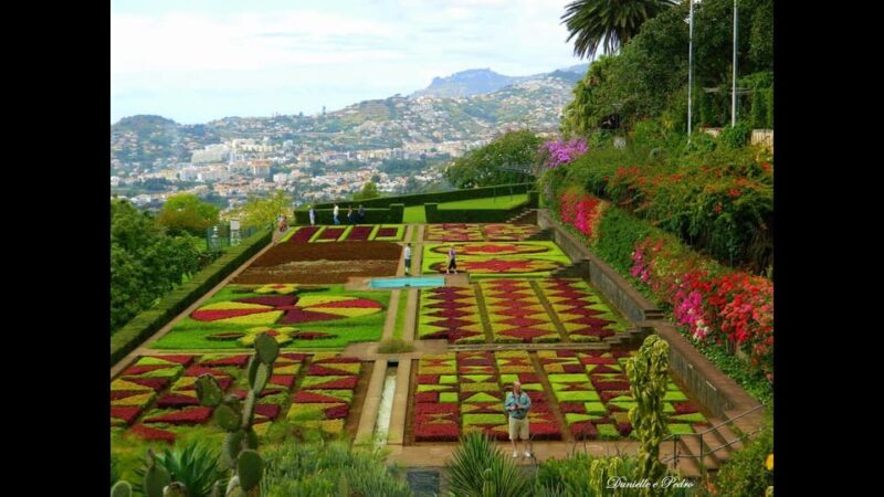 Guided Tuk-Tuk Tour to Botanical Garden (From Funchal) - Final Thoughts: Is It Worth It?