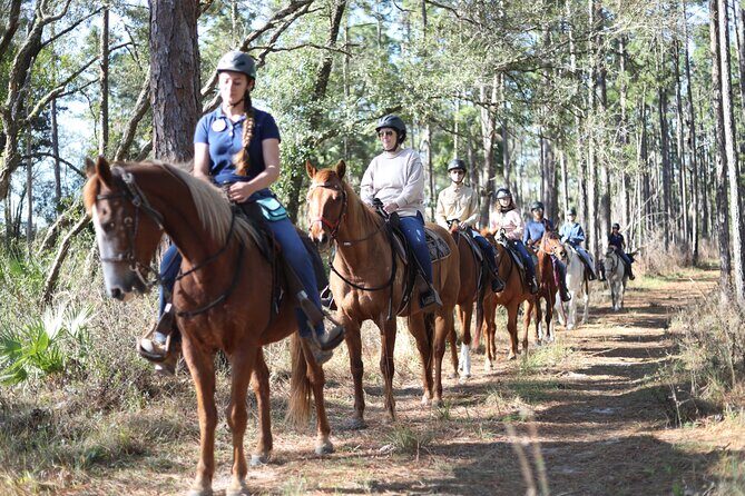 Guided Two Hour Horseback Trail Ride in Central Florida - Discover the Charm of a Guided Two-Hour Horseback Trail Ride in Central Florida