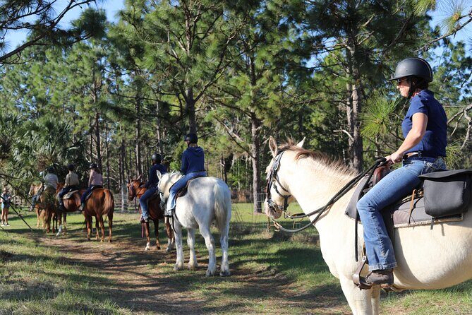 Guided Two Hour Horseback Trail Ride in Central Florida - Key Points