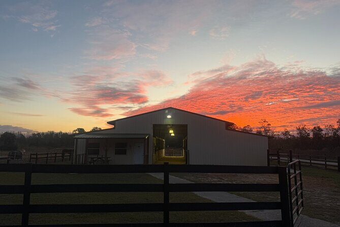Guided Two Hour Horseback Trail Ride in Central Florida - FAQ