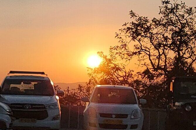 Guided Udaipur Sightseeing Tour - The Experience: What Works Well & What to Consider