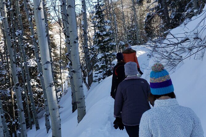 Guided Uinta Forest 3-Mile Hike w/fire + Lunch/charcuterie Stop - Exploring the Uinta Forest: A Guided 3-Mile Winter Hike with Fire, Food, and Friendships